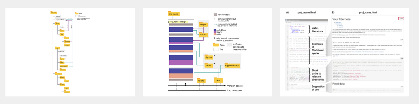 Computational notebooks for more openness, reproducibility, and productivity in research – A ...
